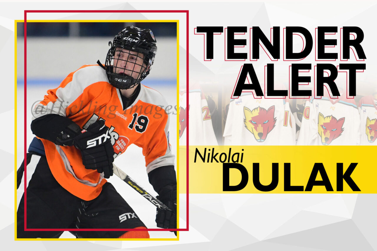 Ice Wolves Tender Forward, Nikolai Dulak - NEW MEXICO ICE WOLVES