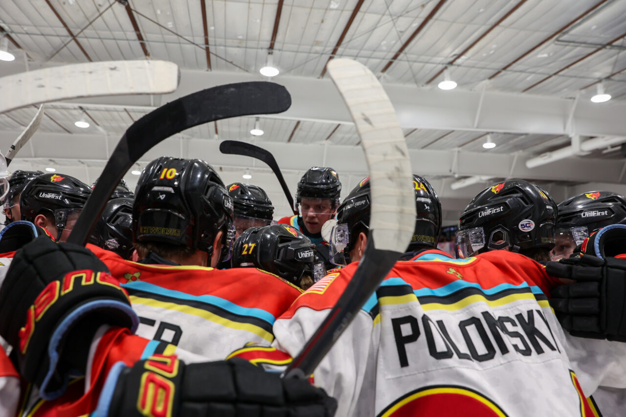 THE NEW MEXICO ICE WOLVES HOST EL PASO RHINOS IN QUARTERFINALS AT THE ...